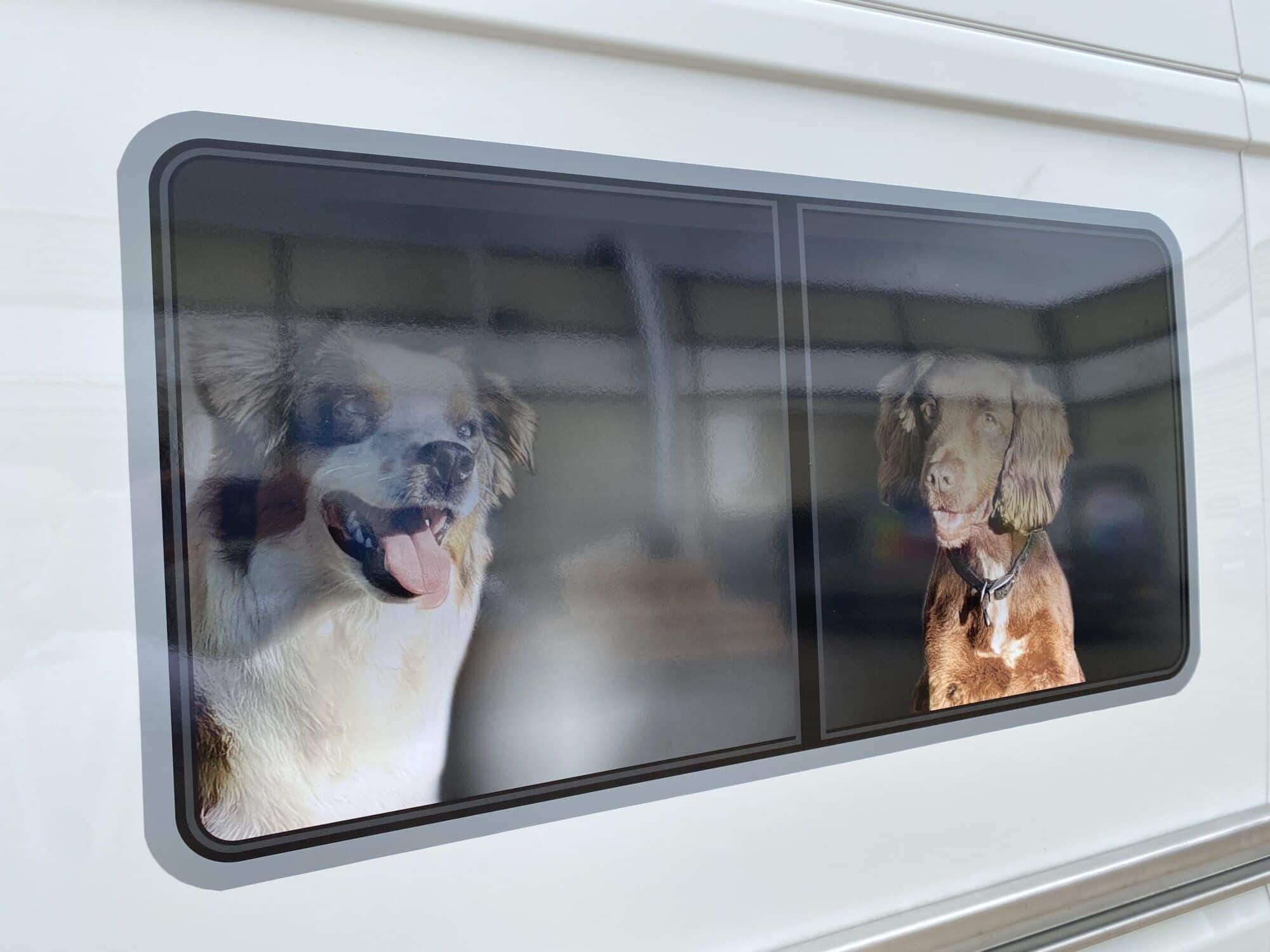 Vehicles - MAD Colour